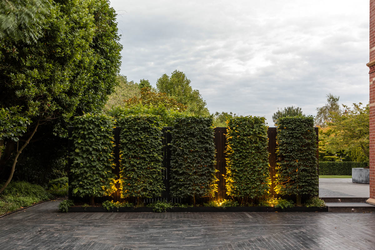 Planting - Pavilion Specimen Plants